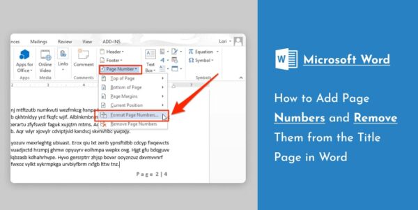 How to Add and Remove Page Numbers from the Title Page - Indigo Software