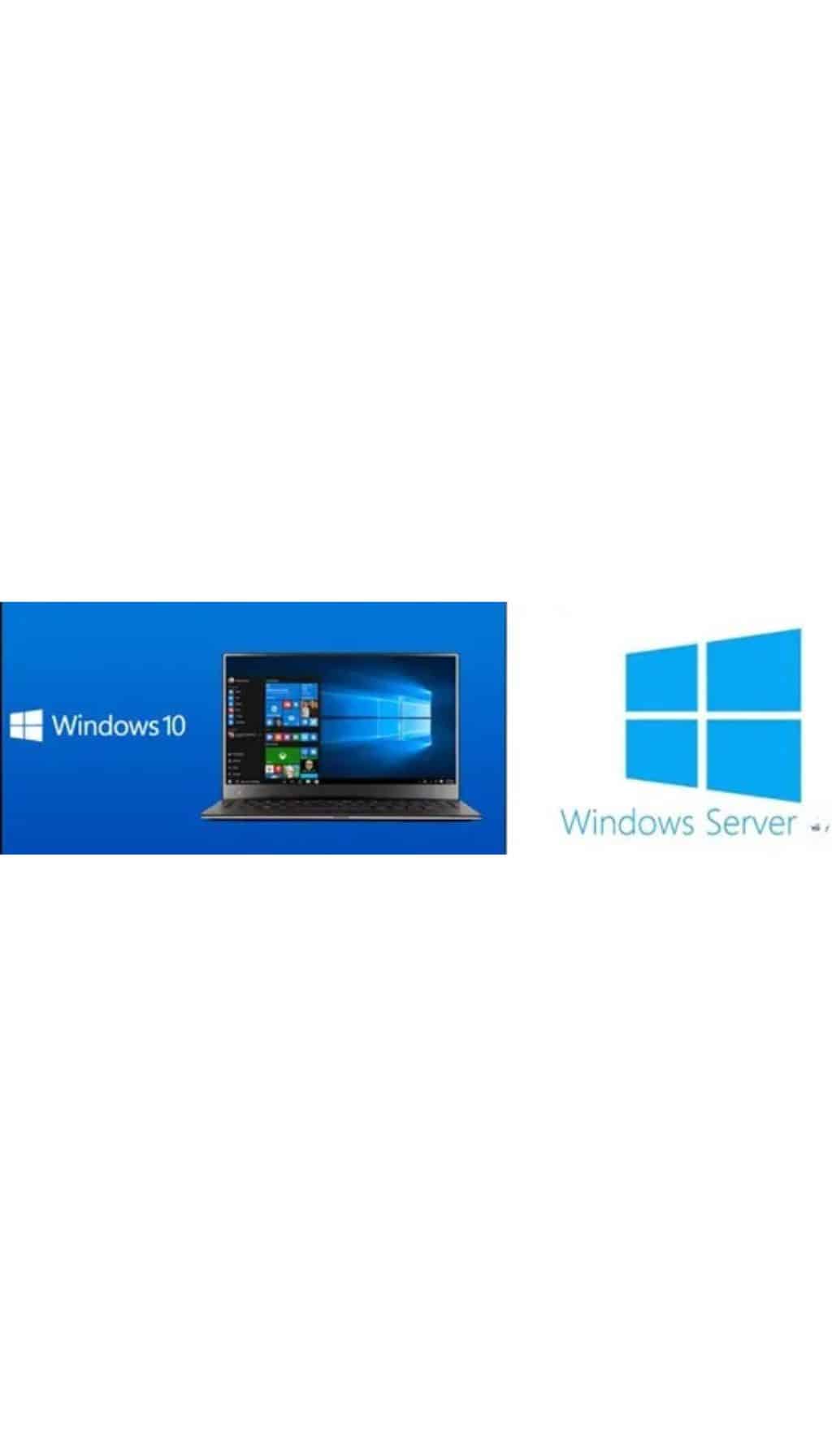 Everything You Need to Know About Windows Server Editions - Indigo Software